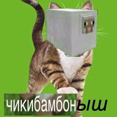 Cat Beard Pvp
